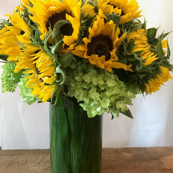 Mostly Sunflowers – Flora Cape Cod