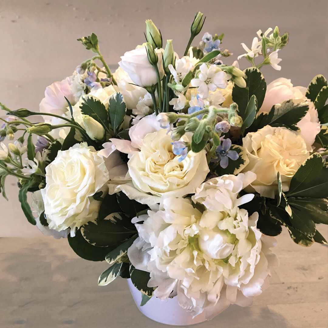 Our Arrangements – Flora Cape Cod